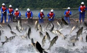 222 Clever And Funny Fishing Names For Teams December 2025